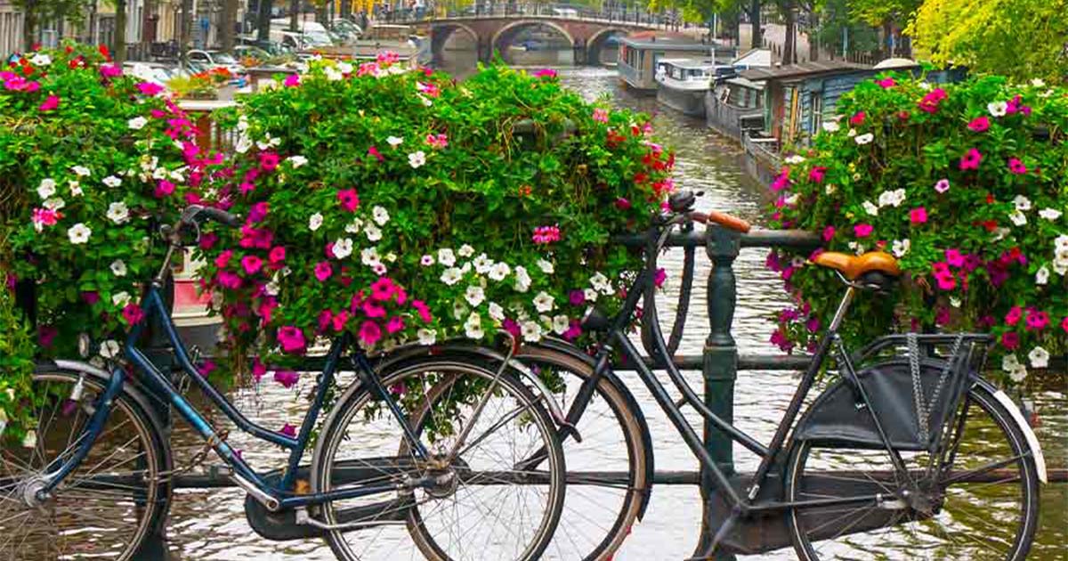 8 Most Cycle Friendly Cities In The World | SCTI NZ