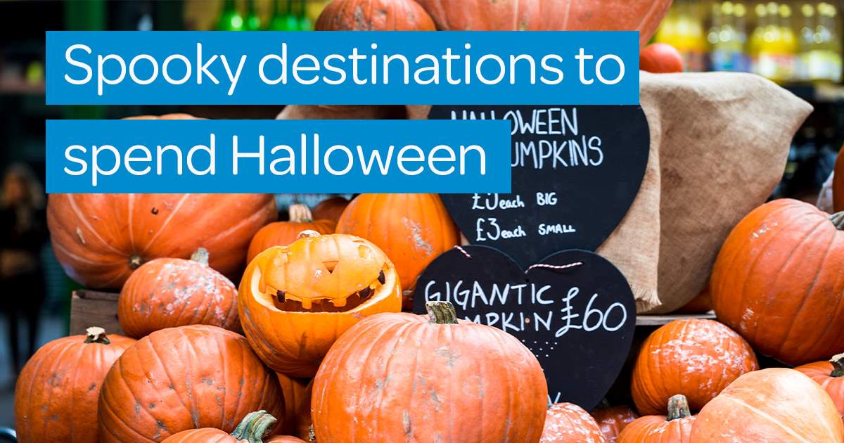 7 spooky places to visit this Halloween | SCTI NZ