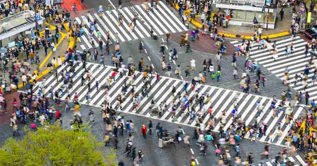 Risks and Dangers In Japan | SCTI NZ