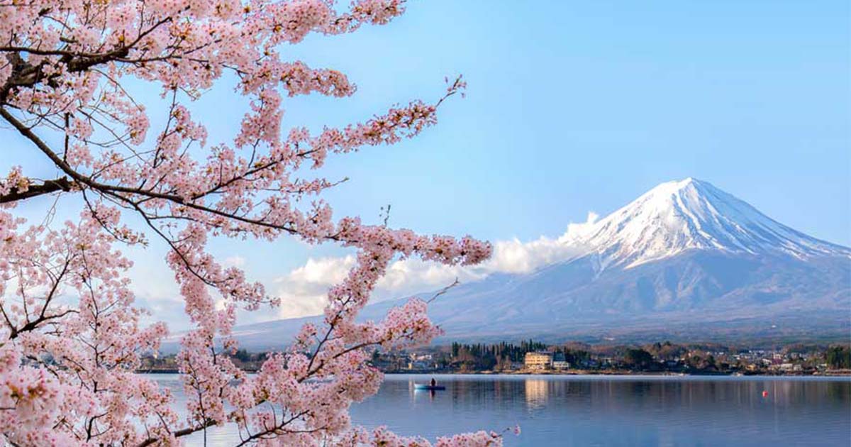 Natural Wonders Of Japan | SCTI NZ