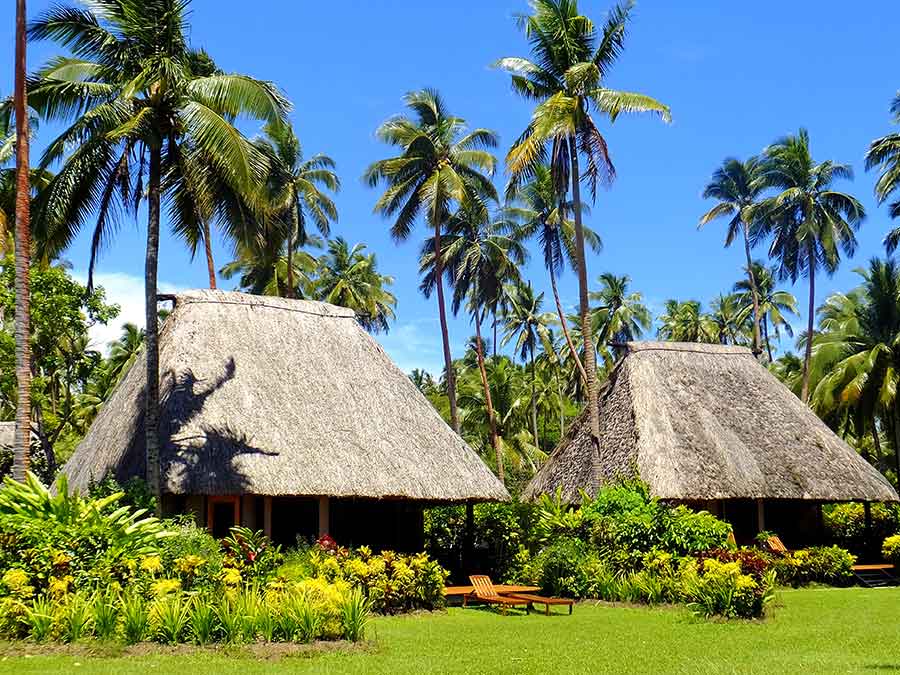 Top 8 Fiji Islands For Adventures | Travel Guide | SCTI NZ