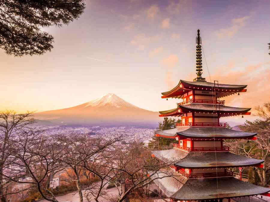 Risks and Dangers In Japan | SCTI NZ