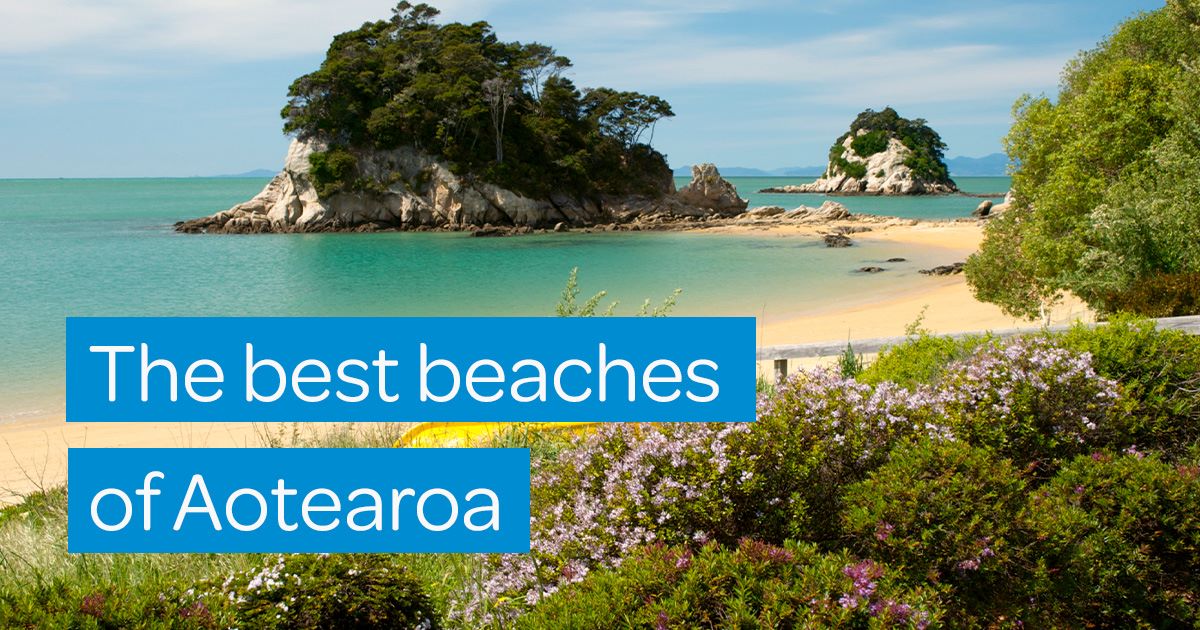 Discover New Zealand’s Best Beaches | SCTI NZ