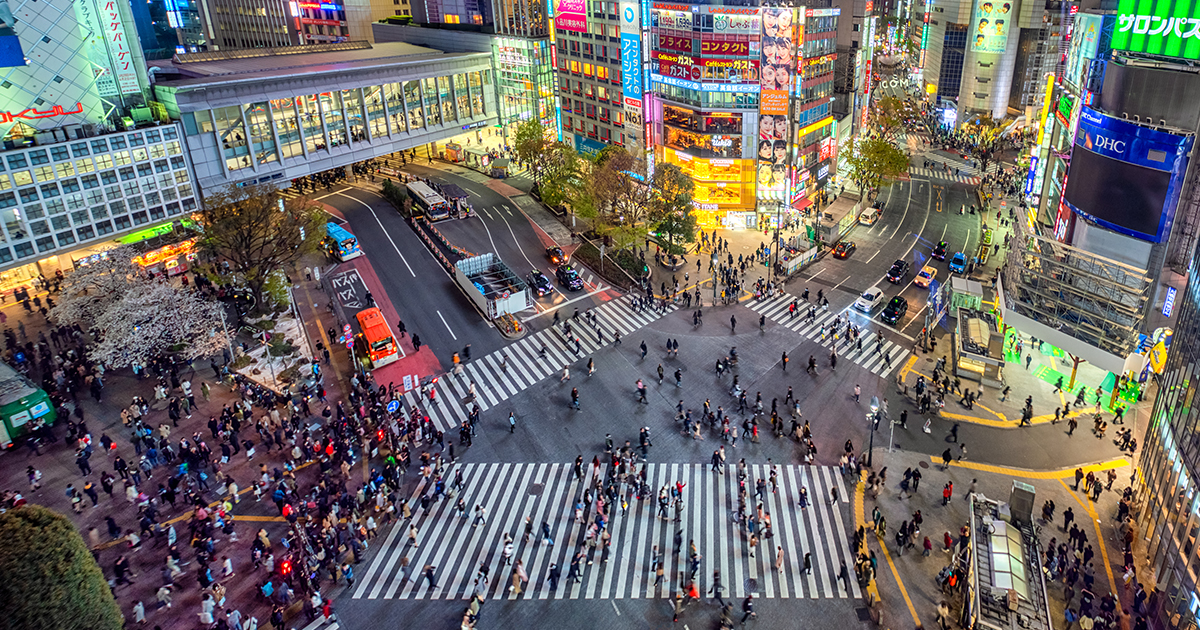 Risks and Dangers In Japan | SCTI NZ