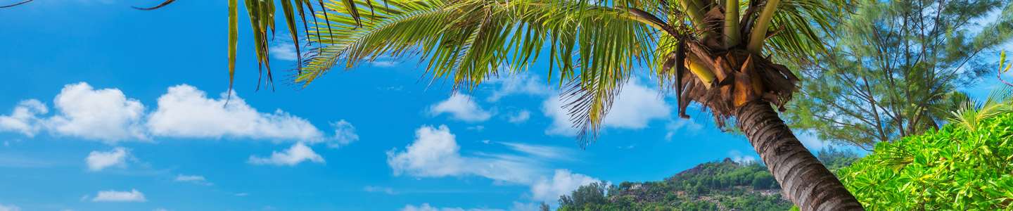 New Zealander's prioritize travel | SCTI NZ