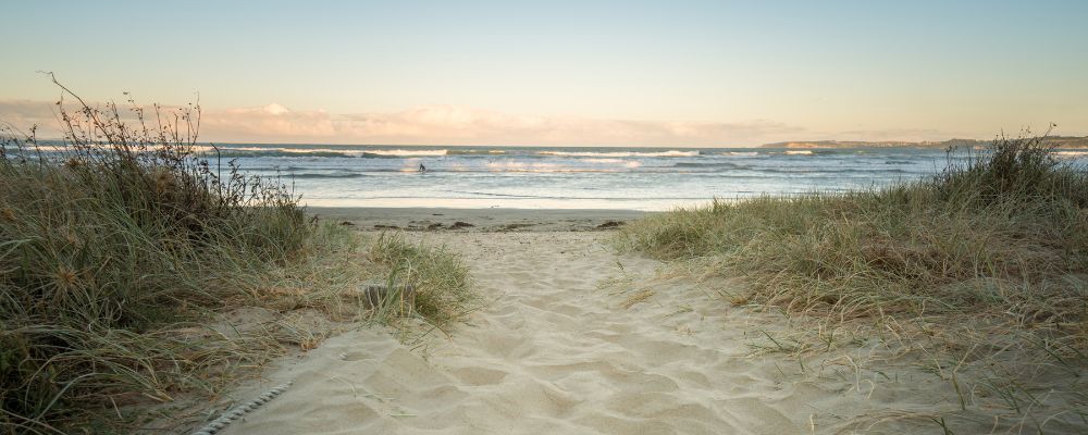 Discover New Zealand’s Best Beaches | SCTI NZ