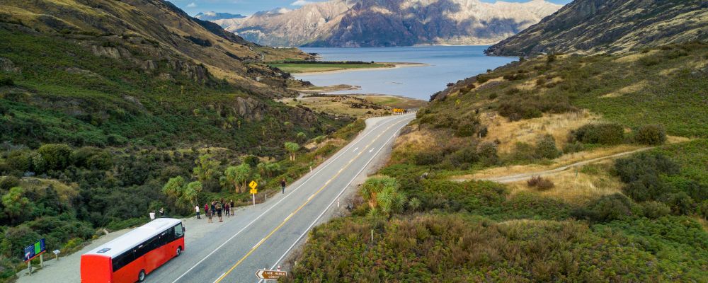 Guide to Transport in New Zealand | SCTI NZ